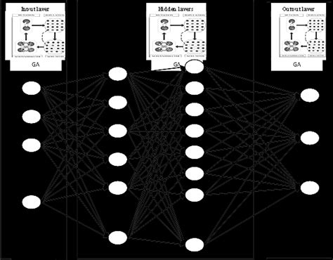 the hybrid multi layer perceptrons of genetic algorithms optimization download scientific