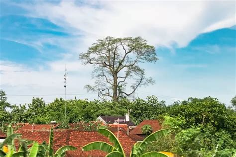 Ada Pocong Montok Wah Inilah Deretan 6 Desa Dengan Nama Unik Dan Lucu