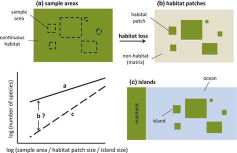 Rethinking Patch Size And Isolation Effects The Habitat Amount