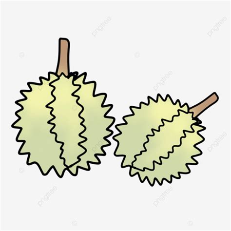 The Illustration Of Durian Durian Fruit Illustration PNG Transparent