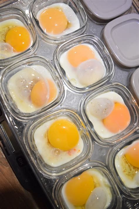 Oeufs cocotte à la Multi délices recette facile