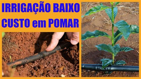 COMO FAZER IRRIGAÇÃO DE BAIXO CUSTO POR GOTEJAMENTO EM POMAR Eficiente