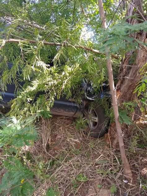 Quatro homens ficam feridos após carro sair da pista e bater em árvore