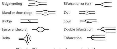 figure 1 from fingerprint analysis for age estimation using deep learning models resnet50 and