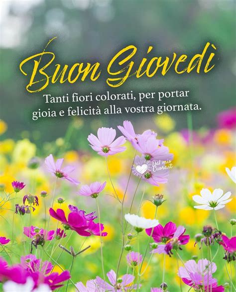 Pin di Laura Brai su buon giovedì Fiori colorati Fiori Buongiorno