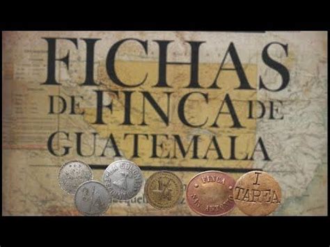 Exposición de fichas de fincas las verapaces Guatemala Créditos a