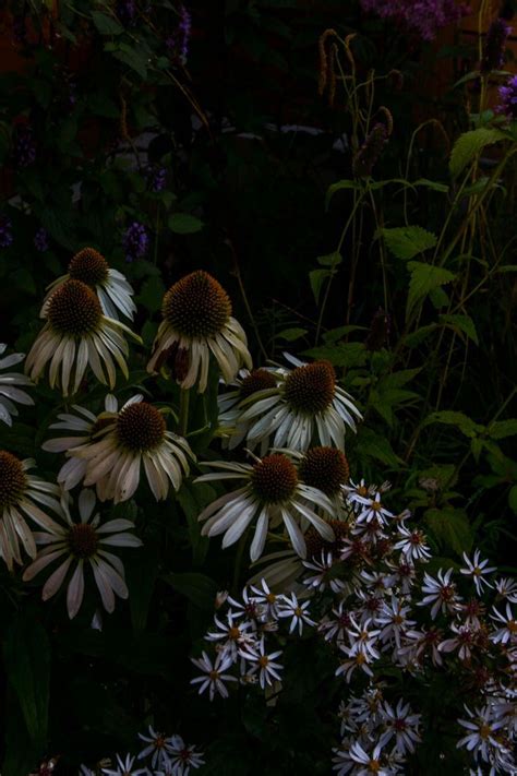 Details 51 Dark Cottagecore Aesthetic Wallpaper In Cdgdbentre