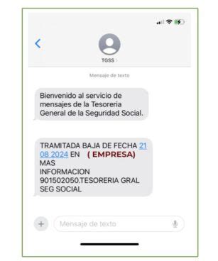 Cómo comprobar si estás dado de alta en Seguridad Social