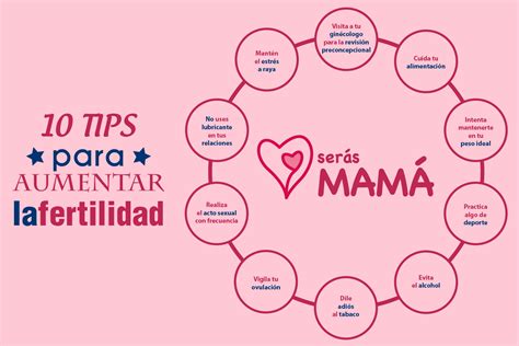 10 consejos básicos para quedarte embarazada Serás mamá