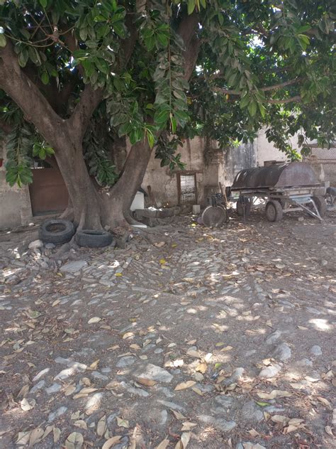 Ex Hacienda Guadalupe Septien Turismo Pedro Escobedo