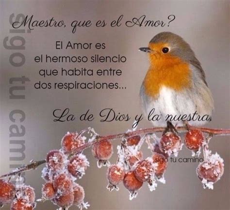 Pin De Julieta Mg En Pensamientos Frases De Amistad Frases