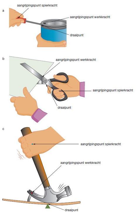 Overal Natuurkunde 3 V Uitwerkingen Hoofdstuk 1 Krachten Gebruiken
