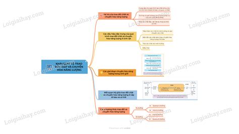 Lý thuyết Khái quát về trao đổi chất và chuyển hóa năng lượng Cánh