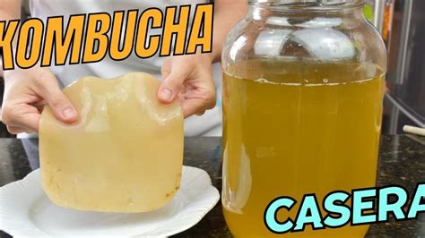 Cómo hacer kombucha en casa Receta fácil y refrescante