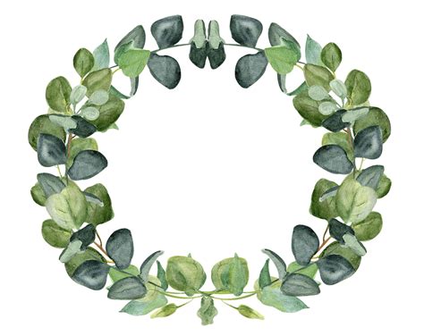 Eucalyptus Leaves Floral Wreath Png Greenery Clipart By Inna