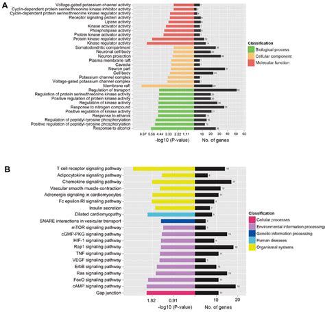 Frontiers Identification And Analysis Of Genes