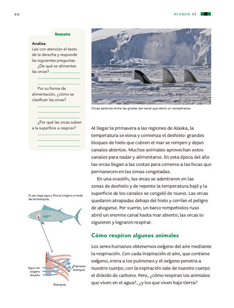 Ciencias Naturales Tercer Grado P Gina De Libros De Texto Online