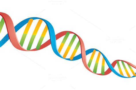 Double Helix Dna Strand Double Helix Dna Drawing Helix