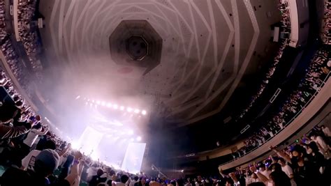 Exwhyz Live Elationexwhyz