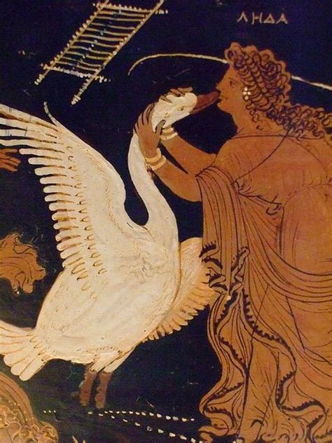 Red Figured Water Jar Depicting The Myth Of Leda And The Swan Greek