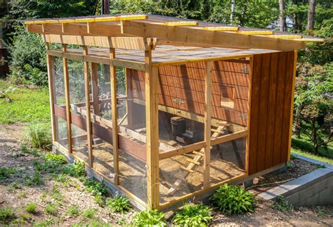 Inside Chicken Coop Layout