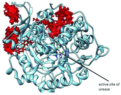 Molecular Docking Result Illustrating The Binding Mode With The Highest