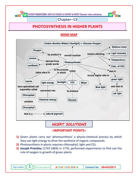 Cyclic And Noncyclic Photophosphorylation Concept Map