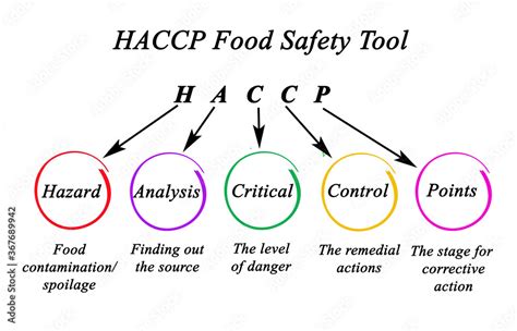Components Of Haccp Food Safety Tool Stock Illustration Adobe Stock