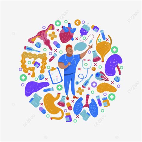 Set Of Vector Human Organs People Science Organ PNG And Vector With