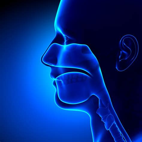 5 Best Ways To Stop Drooling Here Are The Tips