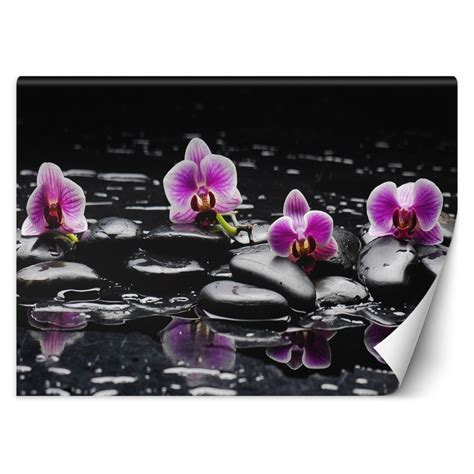 Fototapeta Kamienie Zen Orchidea 400x280 Inna Marka Sklep EMPIK