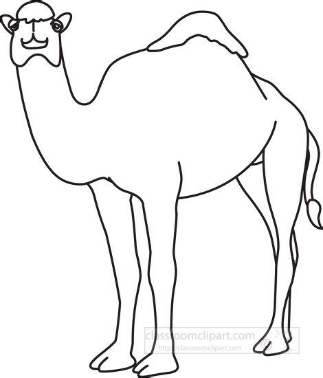 Free One Humped Dromedary Camel Black Outline Clipart Classroom Clipart