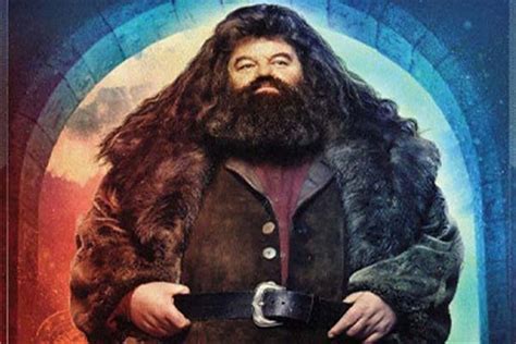 Rubeus Hagrid un ami géant pour Harry Potter