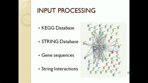 eel 6825 pattern recognition motif finding in biological networks youtube