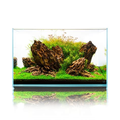 Dragon Stone Ohko Stone Popular Aquarium Hardscape For Aquascaping