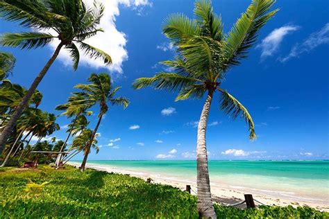 Praias Do Nordeste Brasileiro Que Deixam O Caribe No Chinelo