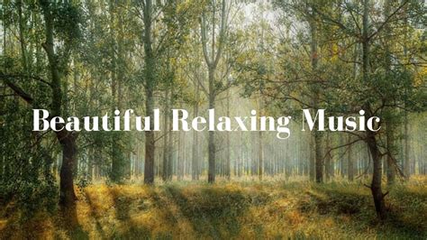 Beautiful Relaxing Music Calm Piano Music With Birds Singing YouTube