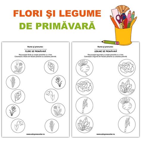 Flori Si Legume De Primavara Perechi Plansa De Colorat