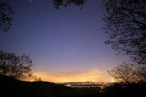 Banco de imagens panorama árvore natureza luz céu nascer do sol