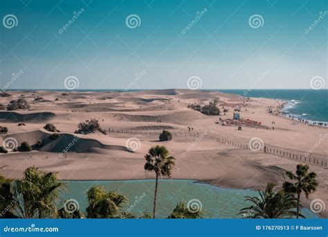 Praia De Dunas De Maspalomas Gran Canaria Durante O Nascer Do Sol