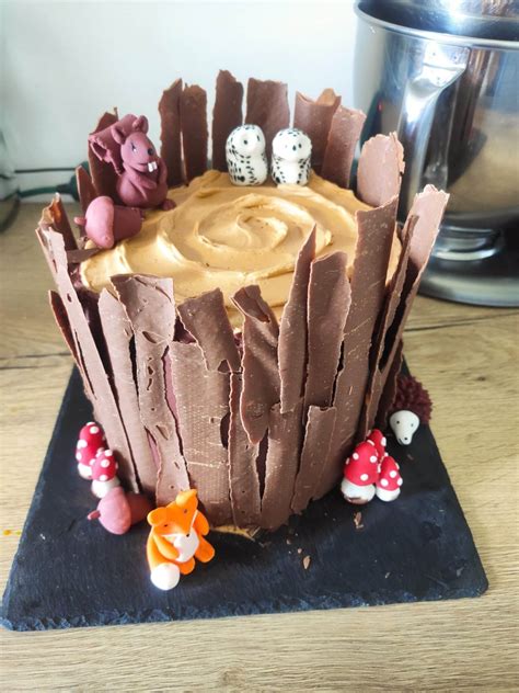 Gâteau roulé animaux forêt Mycake Academy