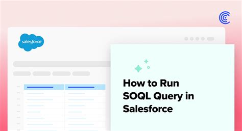 How To Run SOQL Query In Salesforce Coefficient