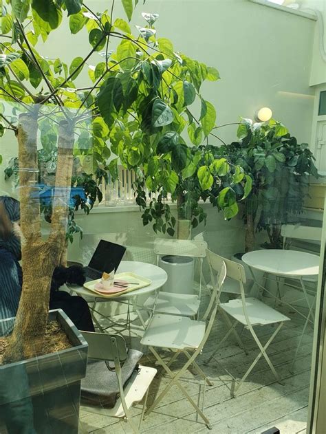 Ghim của Hanna Cho trên cafe