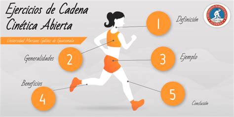 Cadena cinética abierta