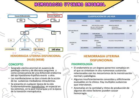 Hemorragia Uterina Anormal J Diego P Vásquez uDocz