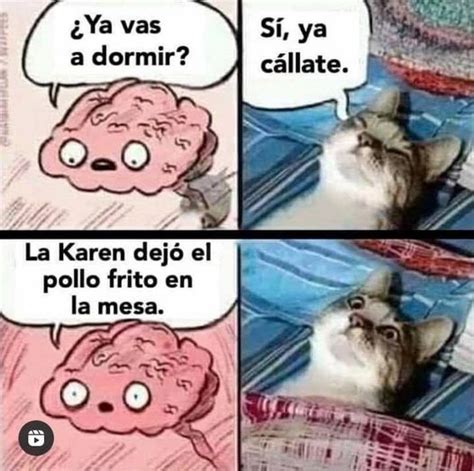 Memes de Karen y el Gato parte 8 Memes en Español la mejor