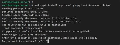 How To Install Sensu Monitoring Solution On Ubuntu