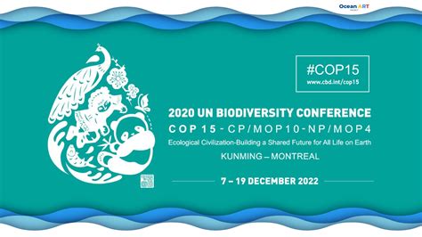 CONFERENCIA SOBRE DIVERSIDAD BIOLÓGICA DE LAS NACIONES UNIDAS Ocean