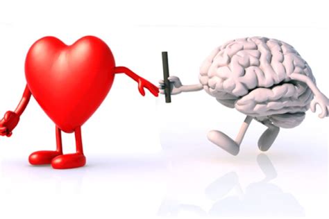 Organ Donation Vs Whole Body Donation Can You Do Both