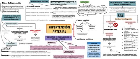 Hipertencion Mapa Conceptual Completo Fisiopatolog A Urp